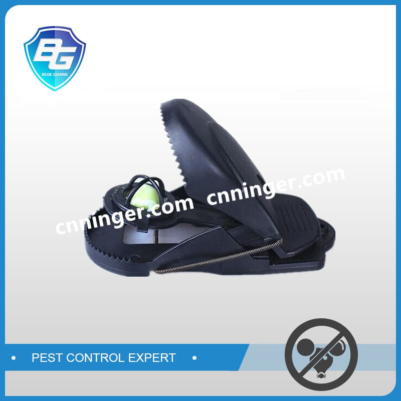 Plastic mouse trap - HINGER Pest Control Industrial