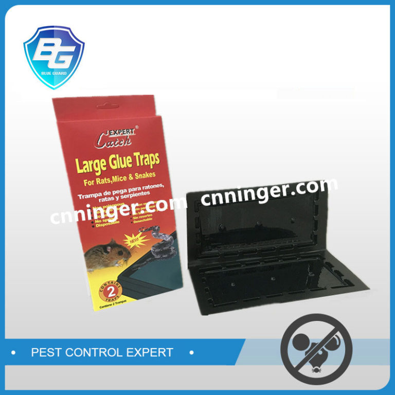 China Ninger Rat glue board mouse sticky adhesive glue paper traps