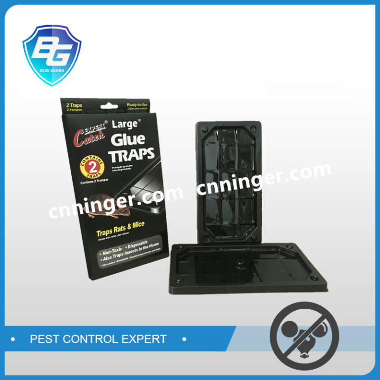 Plastic Board Rodent Glue Trap ---NRTG002-3