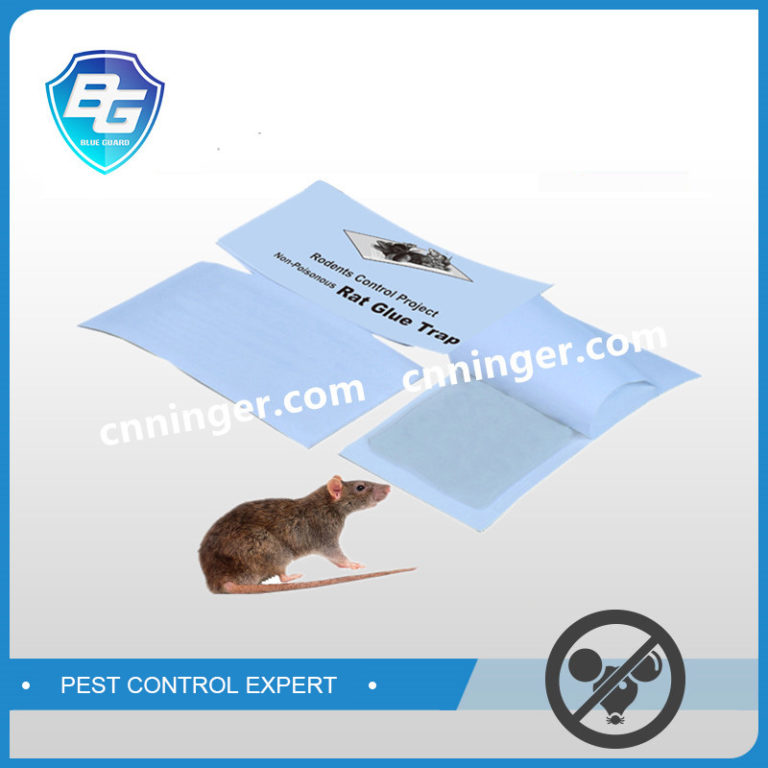China Ninger Rat glue board mouse sticky adhesive glue paper traps