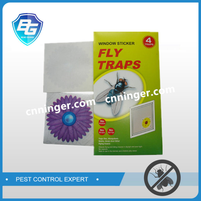 Transparent window fly sticker glue trap manufacturer