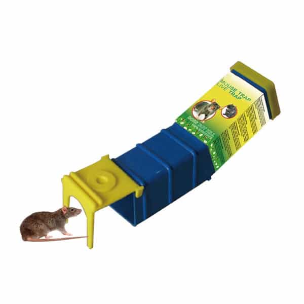 Best Live Mouse Trap Manufacturer Rat Trap Factory Since 1990